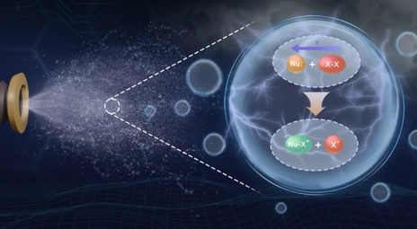 News – Michelle Coote